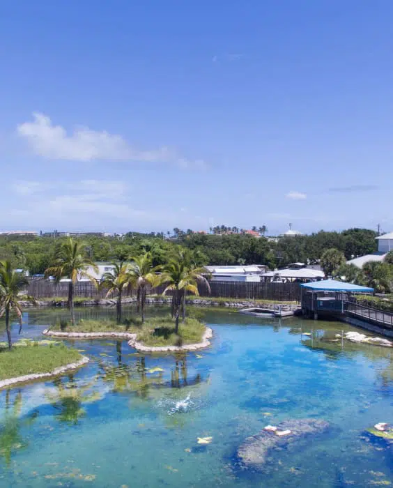 Safe Harbor Harborage Yacht Club - Safe Harbor Marinas