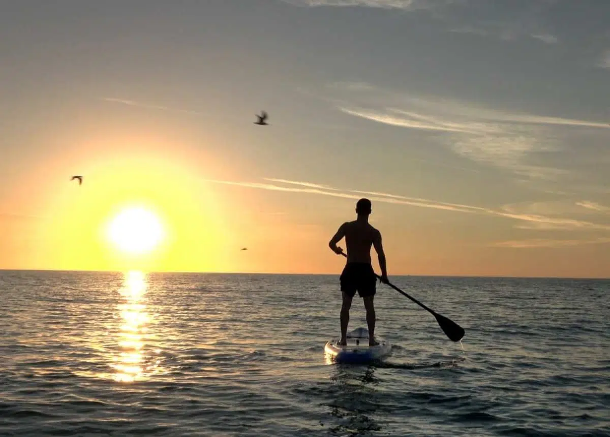 Safe Harbor Pier 77 - Safe Harbor Marinas