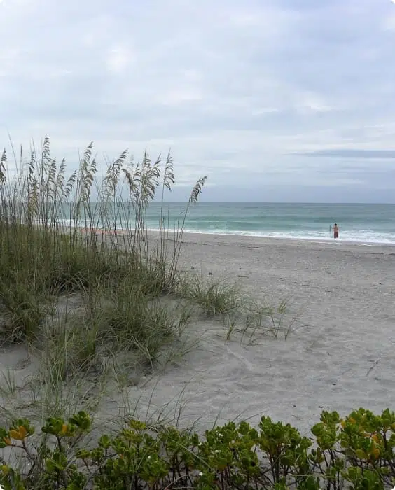 Safe Harbor Calusa Island - Safe Harbor Marinas