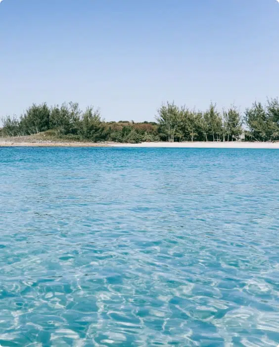 Safe Harbor Calusa Island - Safe Harbor Marinas