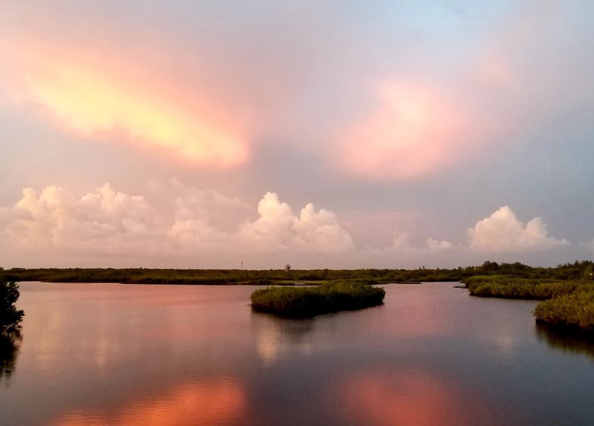 Safe Harbor Pier 77 - Safe Harbor Marinas