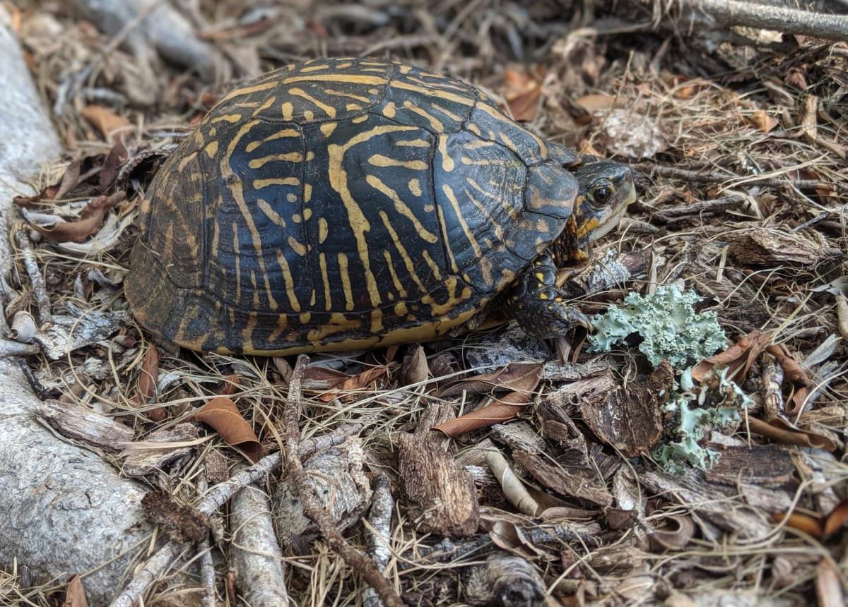 Safe Harbor Pier 77 - Safe Harbor Marinas
