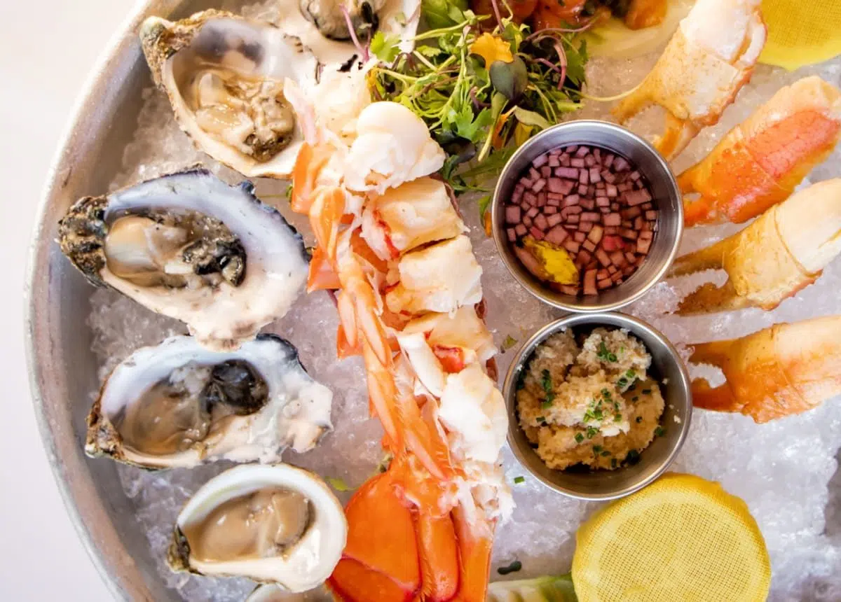 Safe Harbor Sunroad - Safe Harbor Marinas