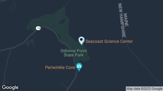 Safe Harbor Wentworth by the Sea - Safe Harbor Marinas