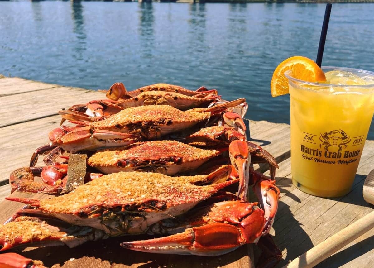 Safe Harbor Marinas – Narrows Point | Grasonville, Maryland